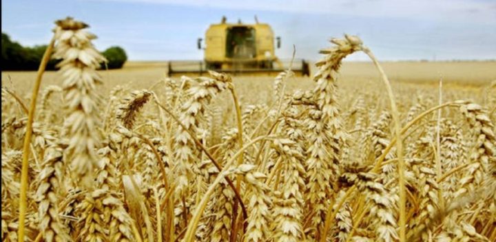 Morocco’s Crop Year Bodes Well in 2017- Official – The North Africa Post