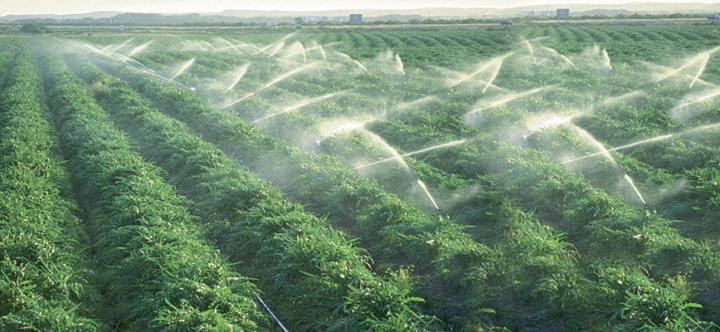 AfDB highlights success of Moroccan Green Plan – The North Africa Post