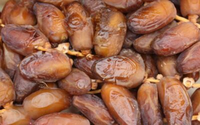 Algeria Sends Mauritania Deadly Toxic Dates Banned Worldwide – The ...