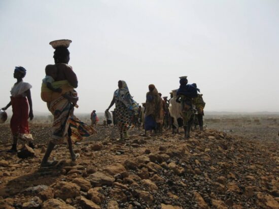 US pledges additional $44m to Niger to address food insecurity – The ...