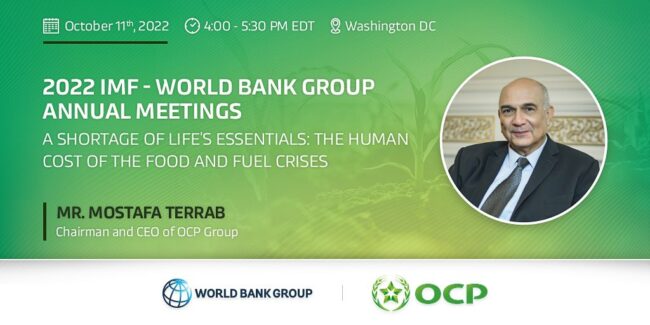 Morocco’s OCP Group to dedicate 4 Mln Tons of fertilizers to African ...