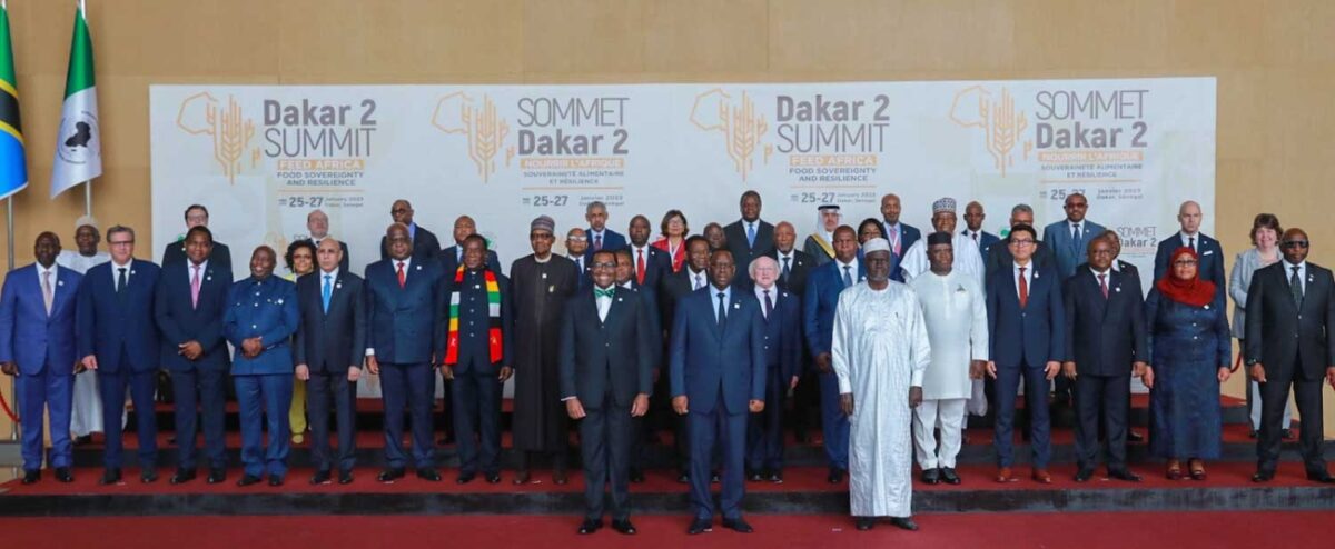 Feed Africa Summit: AfDB to commit $10 billion to make continent the ...