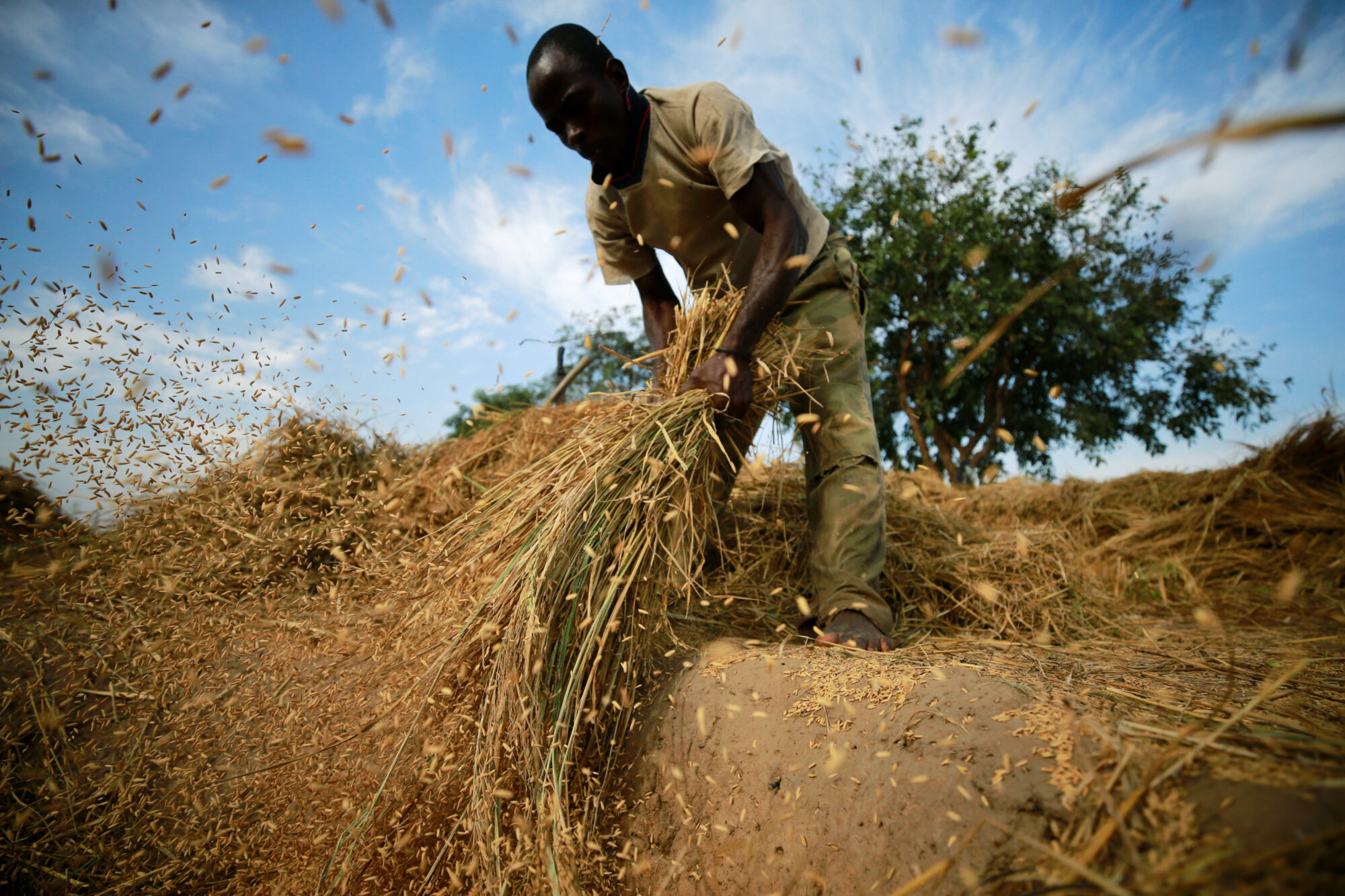East African households urged to have own grain reserves to eliminate ...