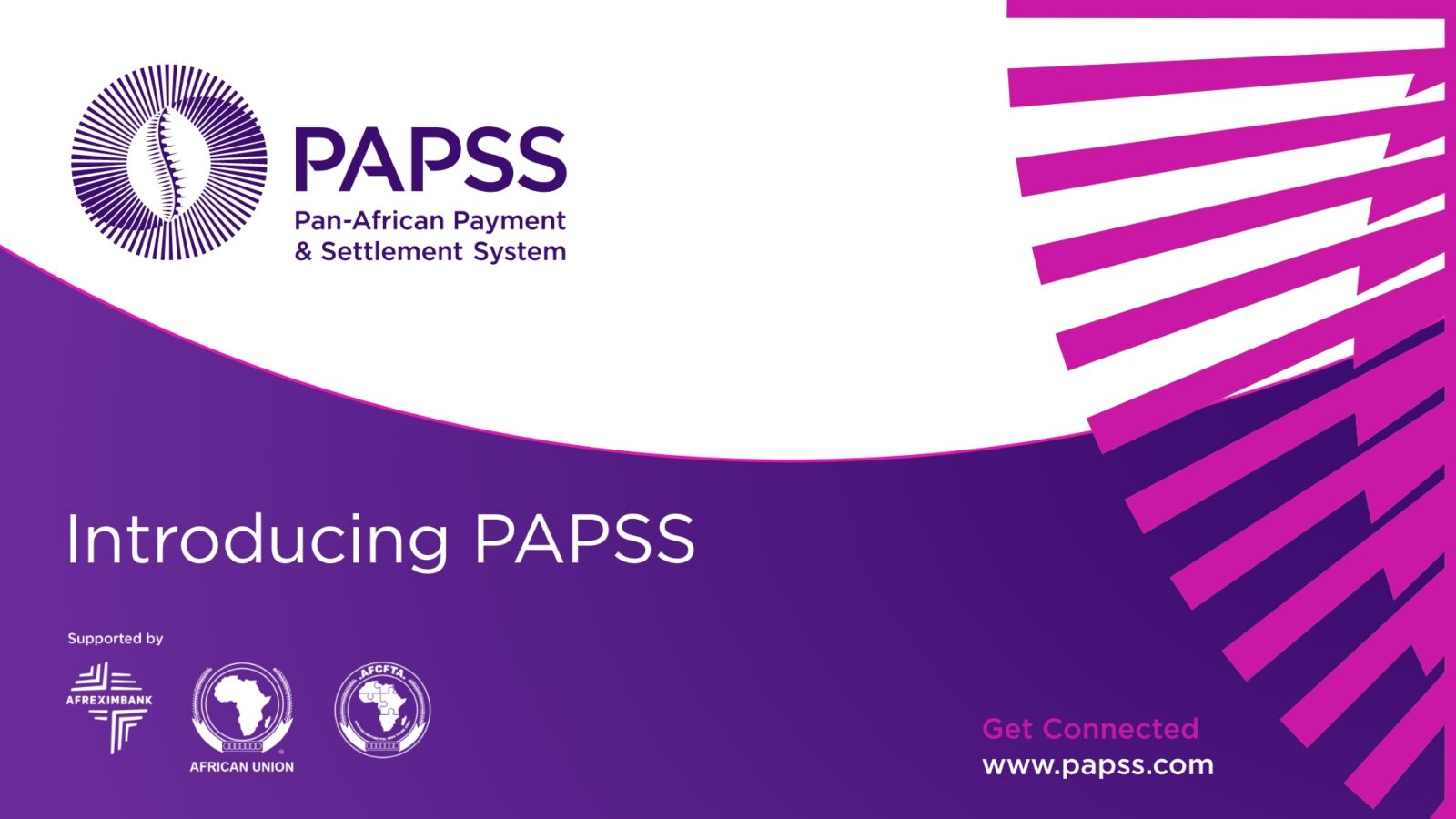 Nine African countries join Afreximbank’s PAPSS platform in push for ...