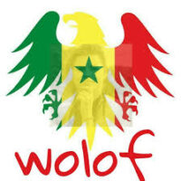 Senegal’s linguistic shift: Wolof challenges French dominance – The ...