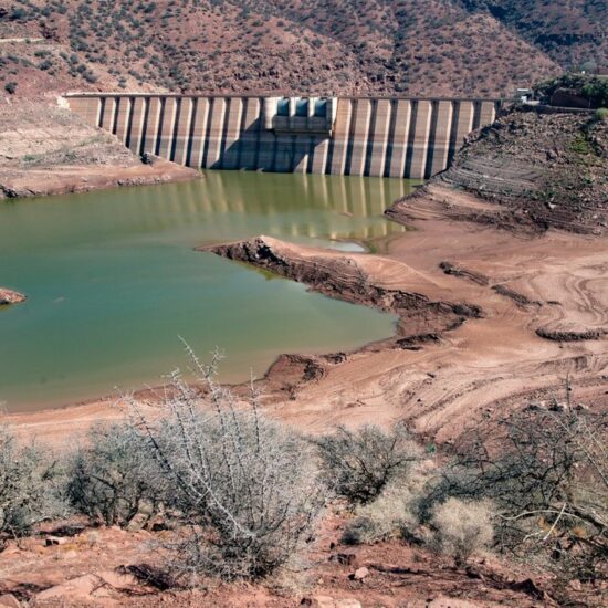 Morocco’s prolonged drought compromises 2025 crop, diminishes livestock ...
