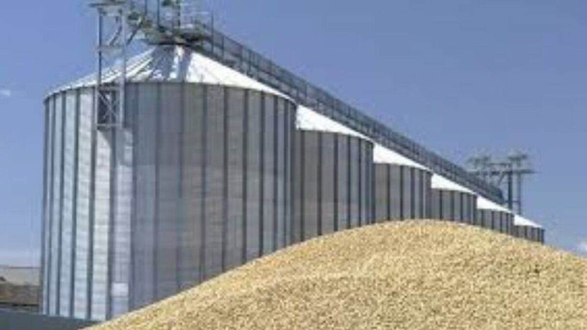 Morocco balances wheat imports among global suppliers as domestic ...