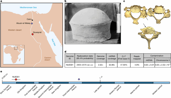 Ancient Egyptian DNA reveals deep genetic roots in Morocco – The North ...