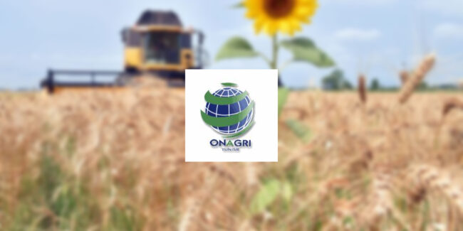 Tunisia’s Organic Agricultural Exports Generate Nearly 490 Million ...