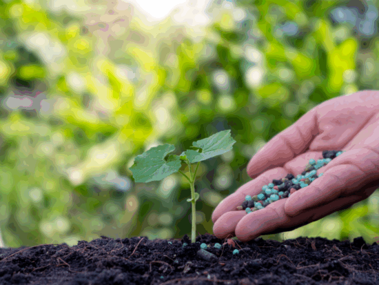 Morocco, Egypt profit as global fertilizer prices surge 15 percent ...