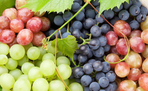 Morocco’s grape industry faces water crisis despite production gains ...