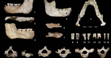 FOSSILS FOUND IN MOROCCO REVISE THEORIES ON EARLY HUMAN EVOLUTION – The ...